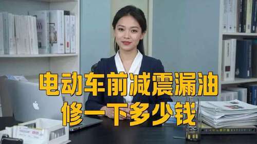 电动车前减震漏油别急着换!维修师傅揭秘真实费用