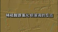 208稀硫酸与氯化钡的反应