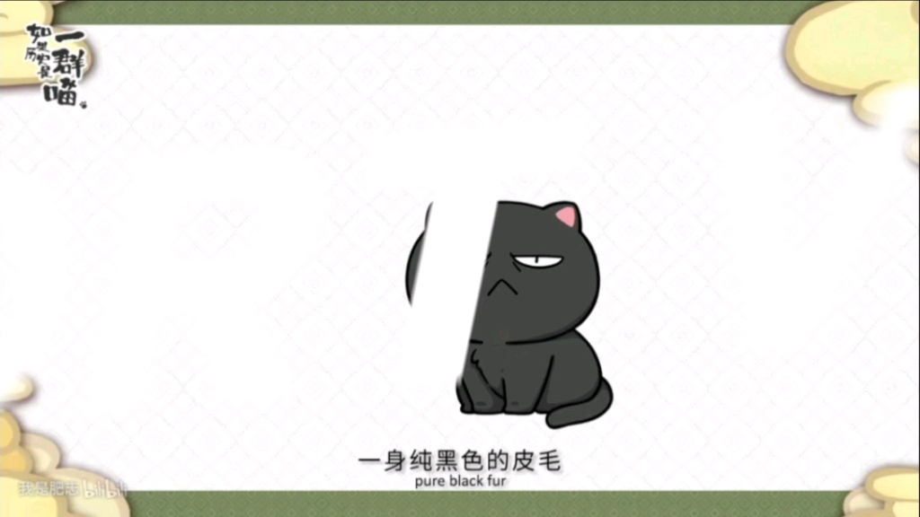 一群喵档案——乌龙,汤圆