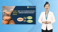 《会计学原理》3.4.1总分类账户与明细分类账户平行登记(西北农林...