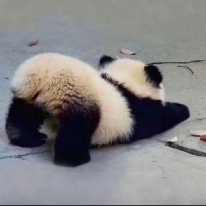 悦见_非凡 