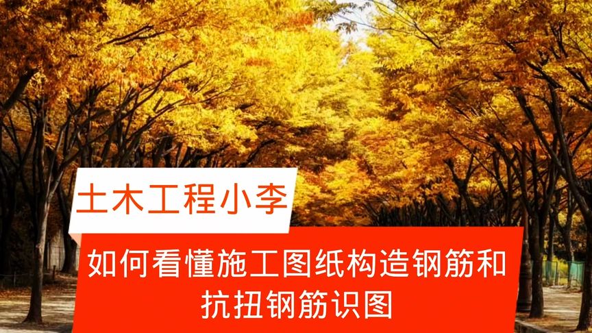 如何看懂施工图纸构造钢筋和抗扭钢筋识图