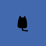 张老师和他的猫 