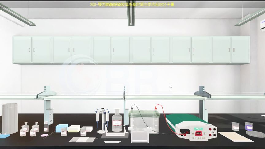 SDS-聚丙烯酰胺凝胶电泳测定蛋白质的相对分子量北京欧倍尔