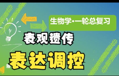 【高中生物一轮复习】6.5-2基因和性状的关系 习题 转录翻译计算新...