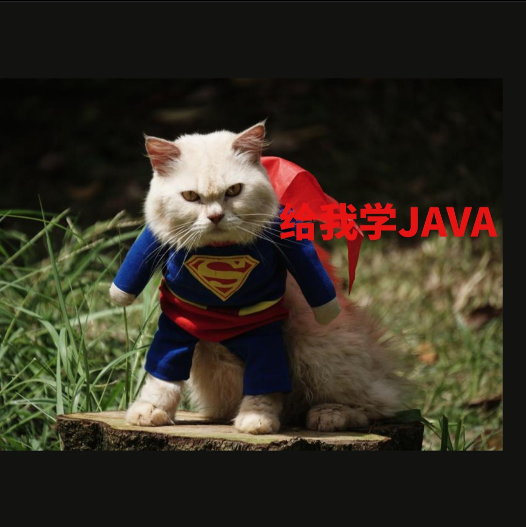 Java熊猫哥 