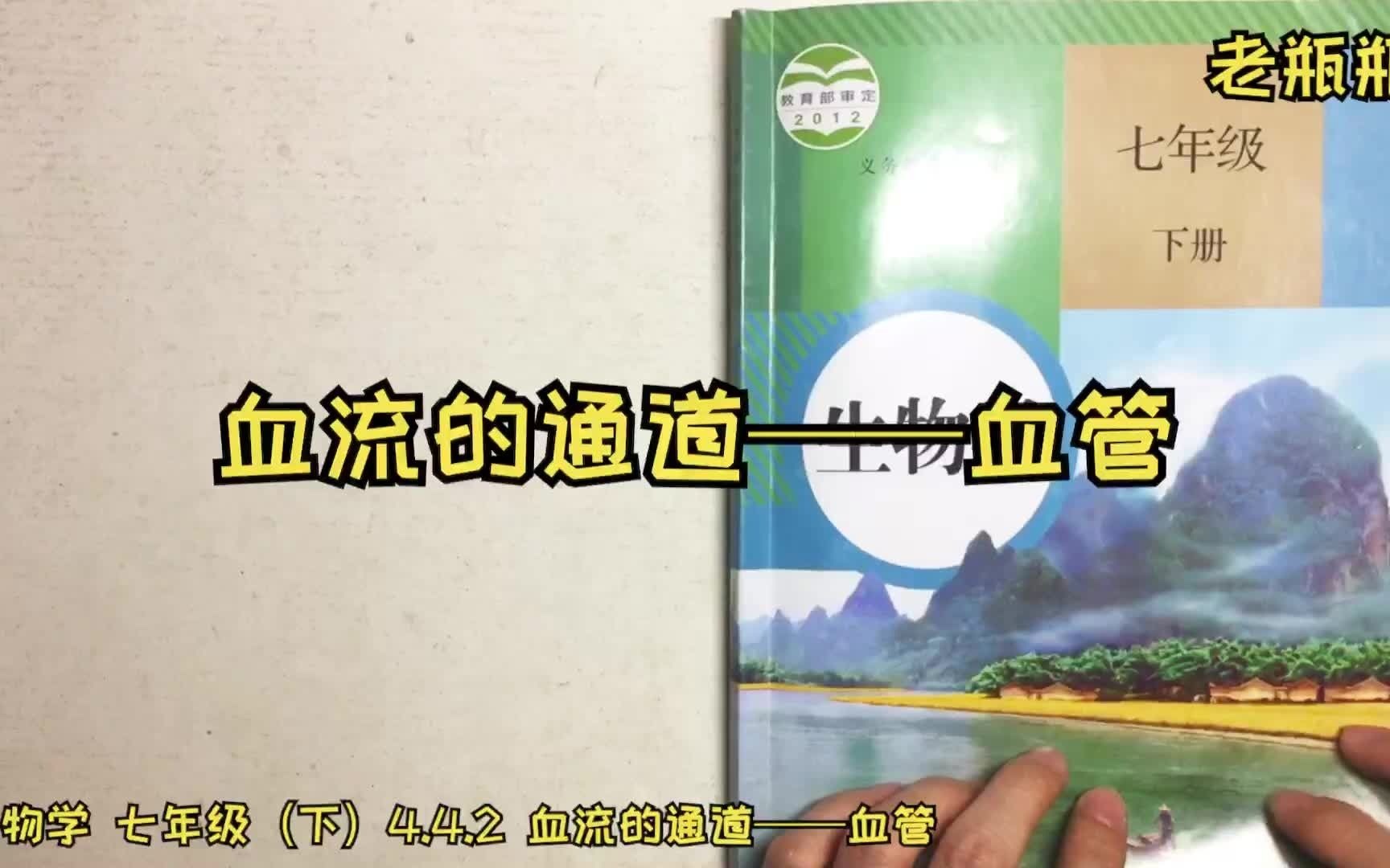 初中生物-七年级(下)4.4.2 血流的管道---血管