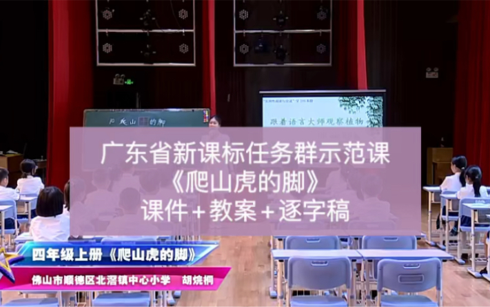四年级上册小学语文公开课《爬山虎的脚》(课件+逐字稿+教案)执教人:...