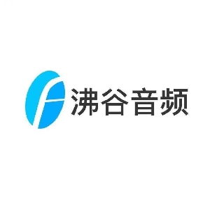 沸谷音频 