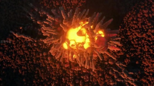 人类是由鱼演化来的?还是起源尼