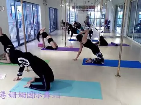 2015最新钢管舞基础教学示范