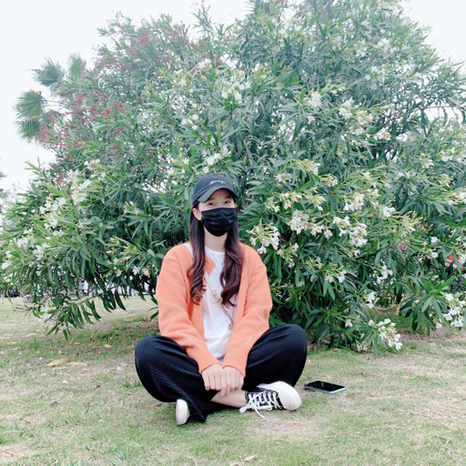 我爱那首小情歌 