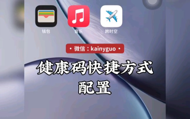 这是什么神仙app,竟然可以在苹果桌面打开健康码小程序。