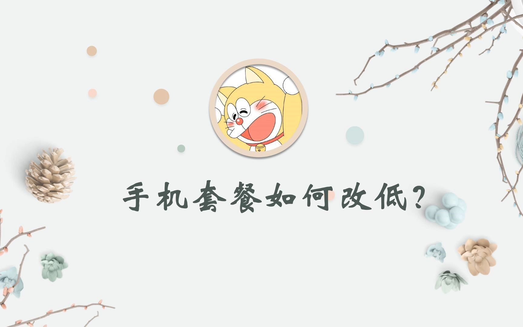 如何把话费套餐降低?