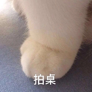 小啊小不点- 