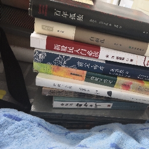 宏楼那一场梦- 