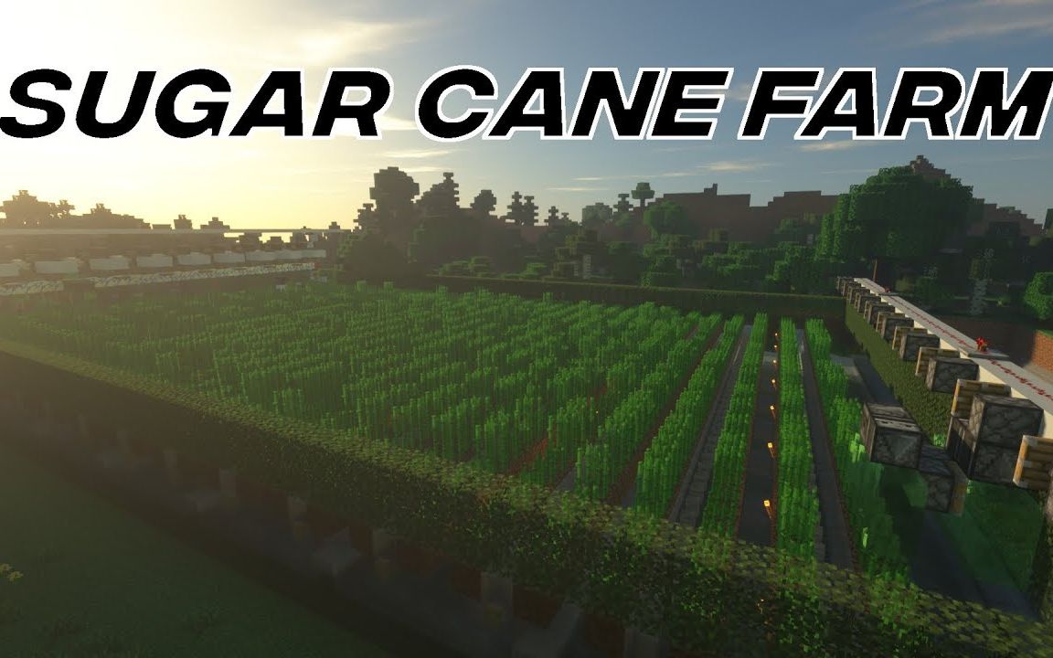 【MC】史上最酷的甘蔗农场【ilmango】
