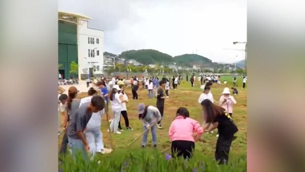 大学生宣传学校成“招生减章”,校方曾担心影响招生