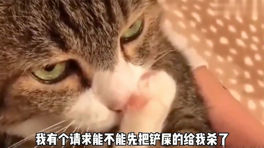 搞笑集合:最新款卡莱特。