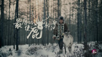 大兴安岭密林深处,藏着中国唯一的使鹿部落,也是最后的狩猎民族