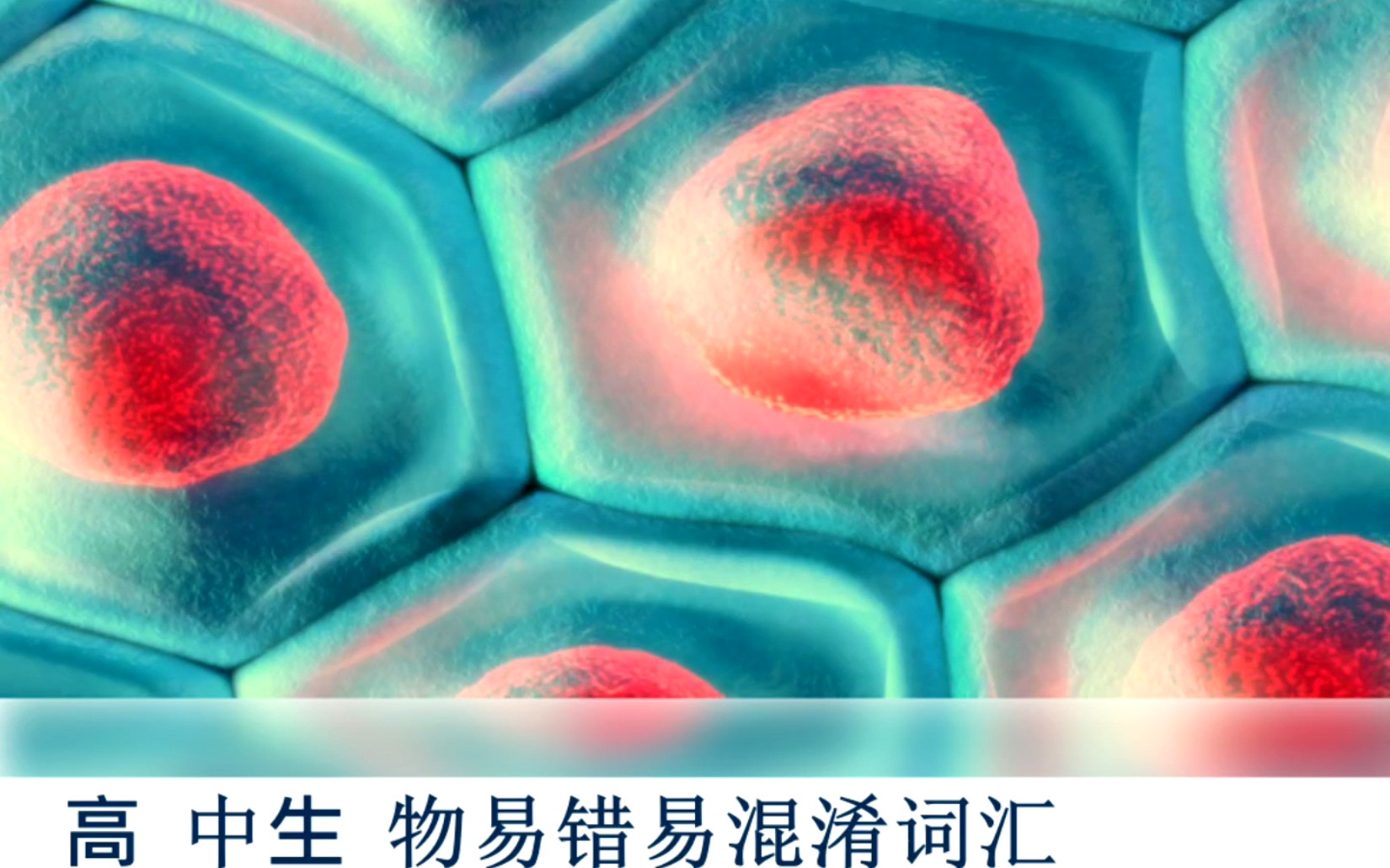 高中生物易错易混淆词汇