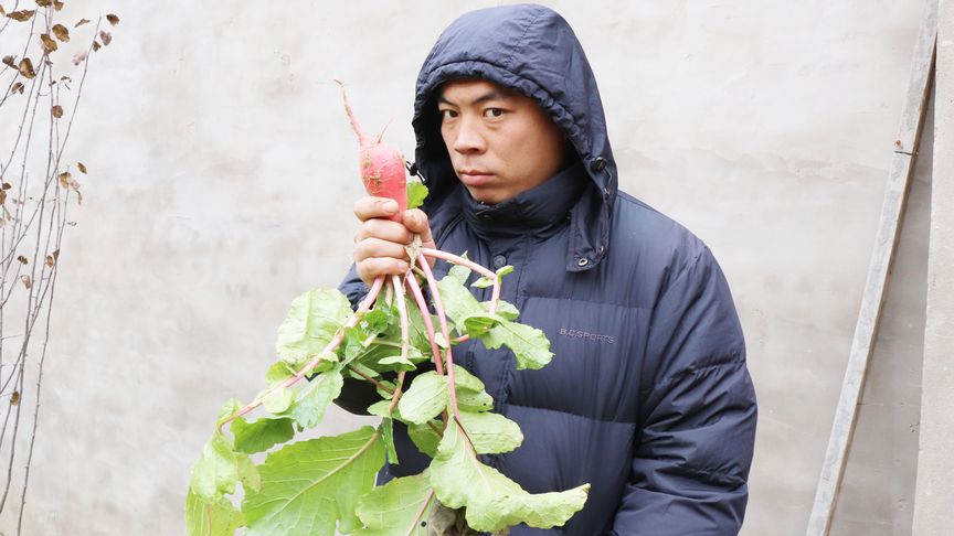 萝卜竟然有这么多功效,你们知道多少呢?