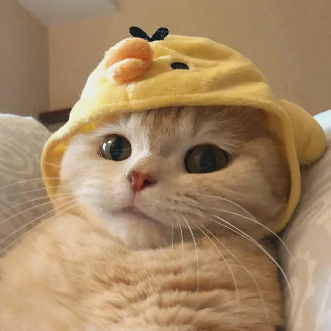 纪家工坊 