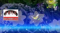 花语公园梨花树桃花树游艇春天万物生长led背景视频素材.mp4