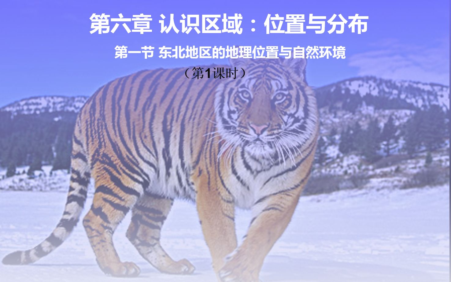 ...八年级下册地理第六章第一节 东北地区的地理位置与自然环境 第1课时