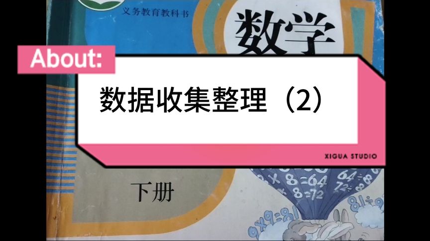 二年级数学下册第一单元《数据收集整理》第二课时内容讲解