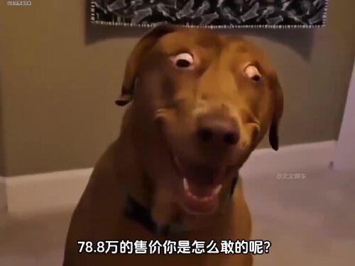 预算15万,这5款车买了绝对不后悔!你选对了吗?