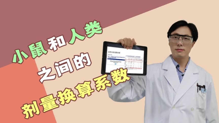 小鼠和人类之间的剂量换算系数