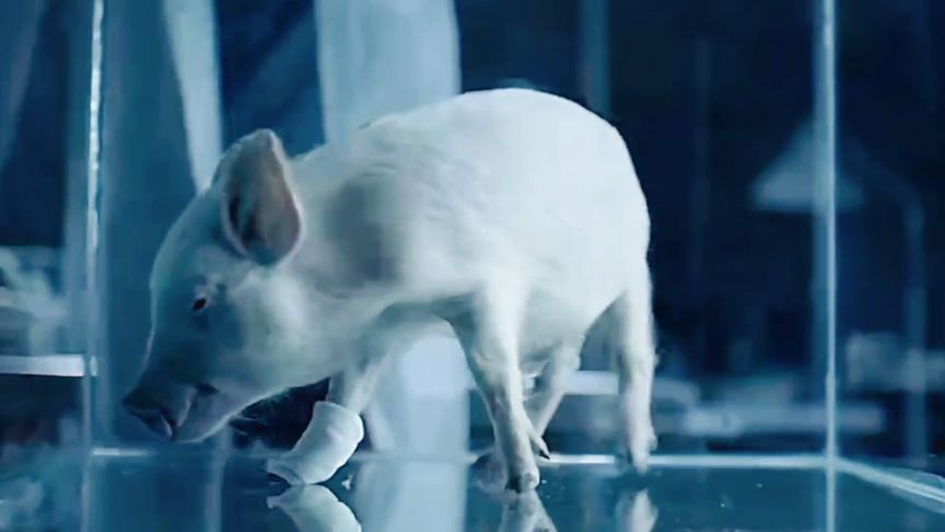 美国߇�߇�生化实验室泄露病毒超强丧尸大片