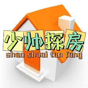 少帅探房 