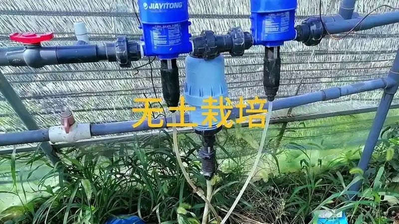 无土栽培也可以是这样,看看就知道了!