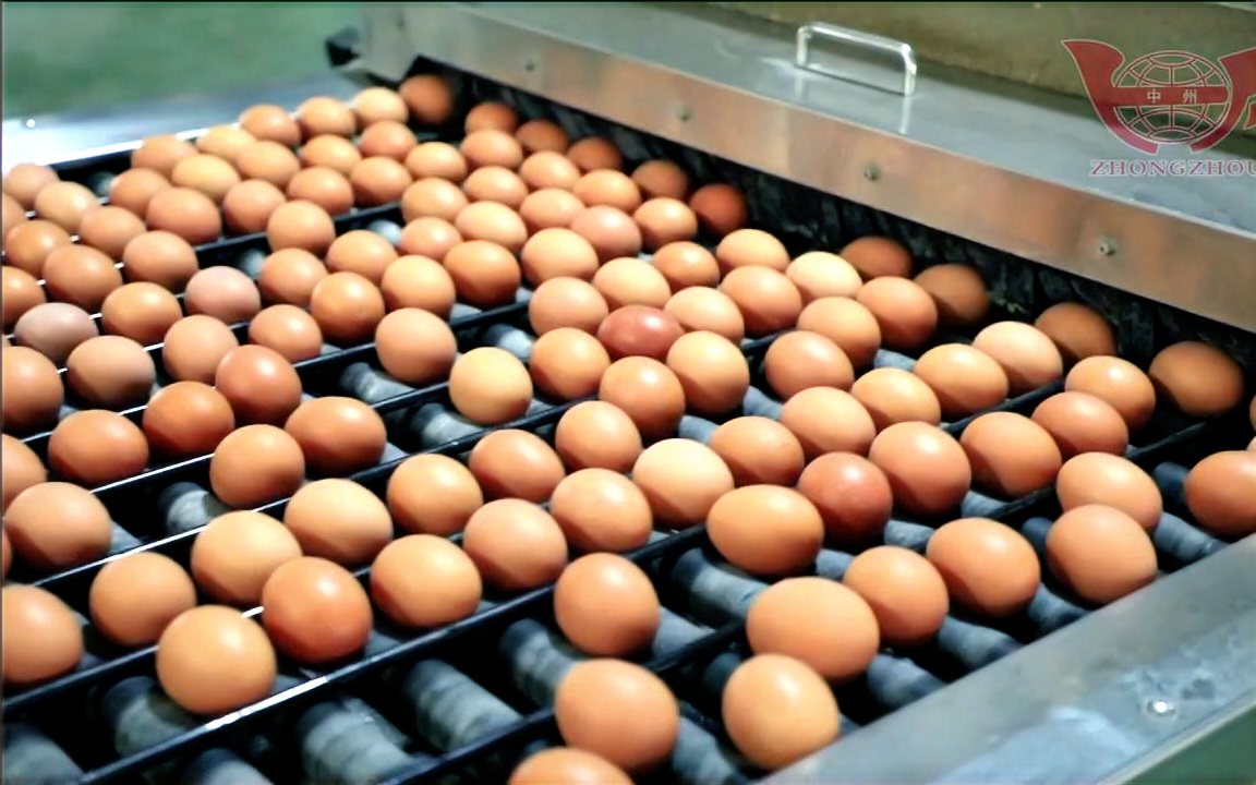 中州牧业蛋鸡笼自动化养鸡设备