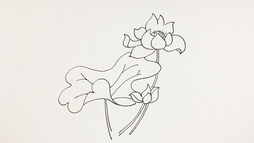 简笔画|荷花 零基础绘画教程 简单实用 学好秒变画画达人 收藏