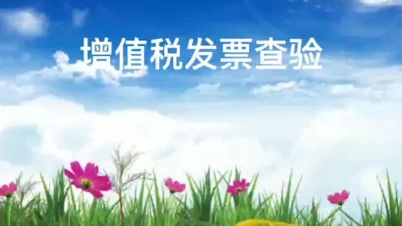 #科普一下 #财务知识 #发票真伪