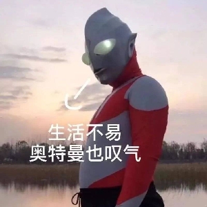 守护全世界的老婆 