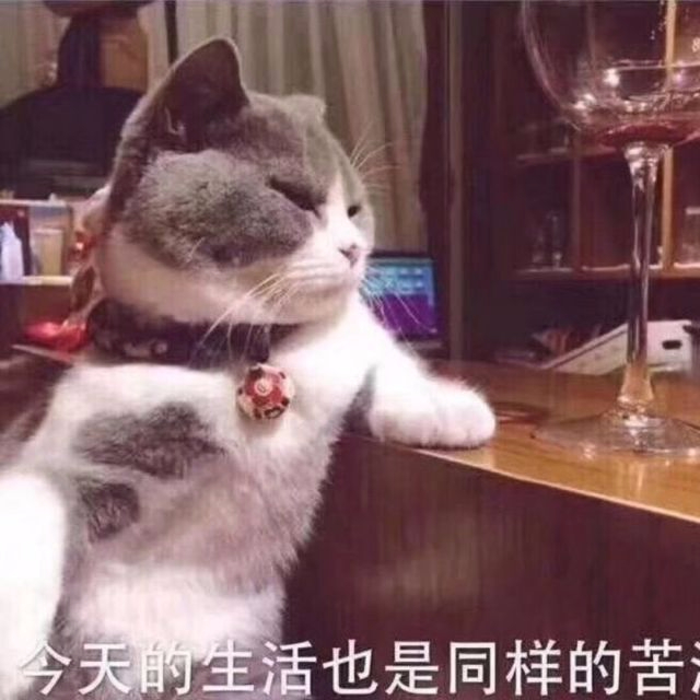 薄梦- 