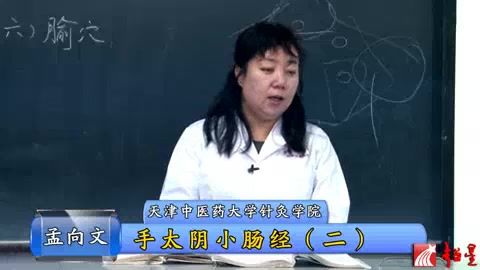 19经络腧穴学-孟向文(天津中医药大学)-手太阳小肠经