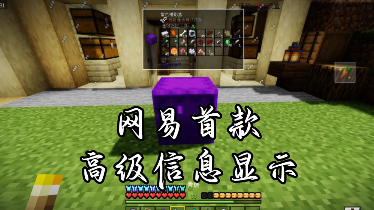 这绝对是你玩生存必备的一款实用免费模组!网易我的世界首款带高级...