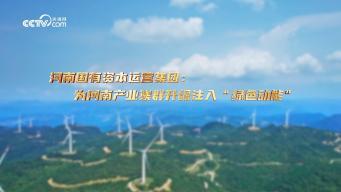 河南国有资本运营集团:为河南产业集群升级注入"绿色动能"