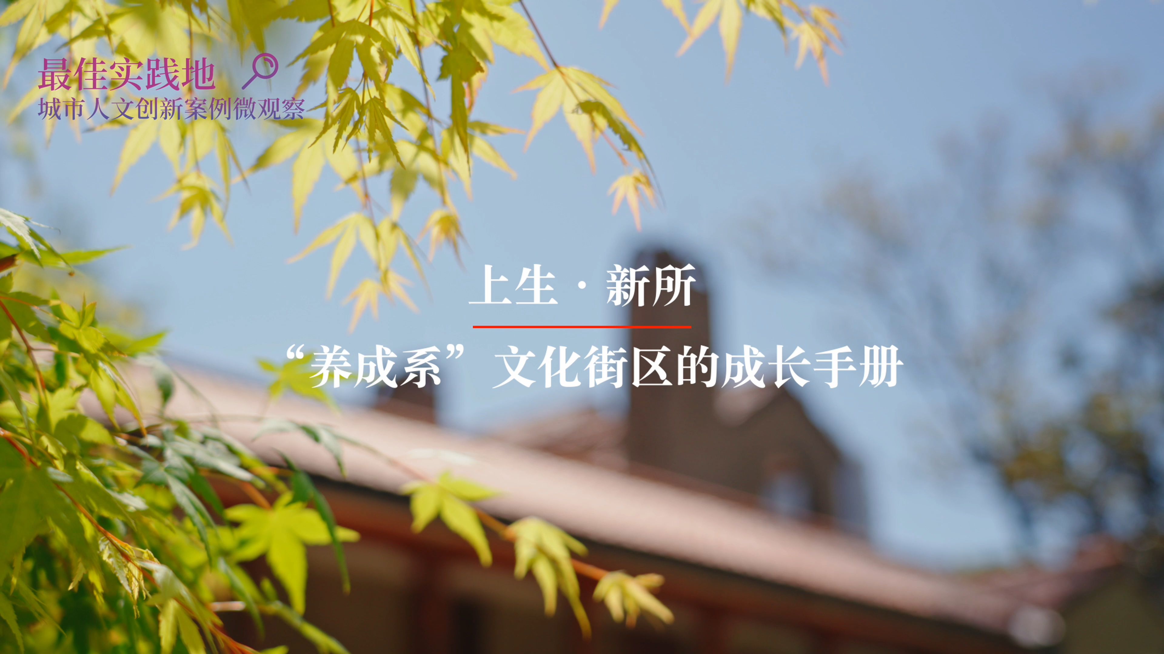 ...生长的“养成系”文化街区 | “最佳实践地” 城市人文创新案例微观察