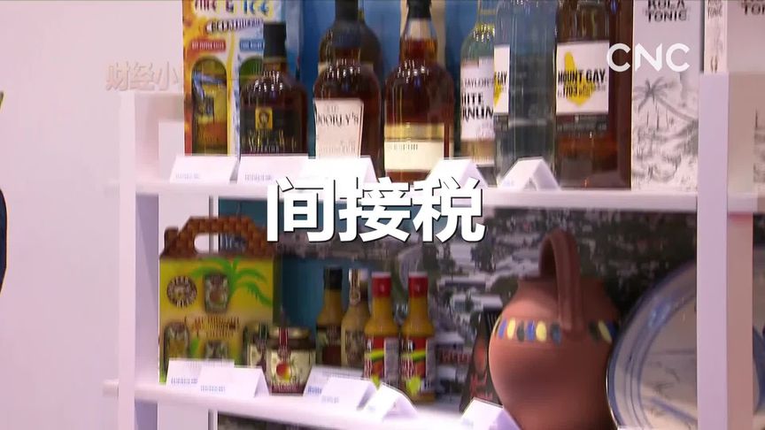 财经小贴士——间接税