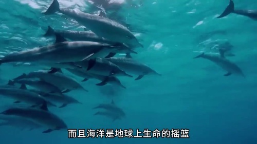 地球若一半海洋一半陆地,世界将有何改变