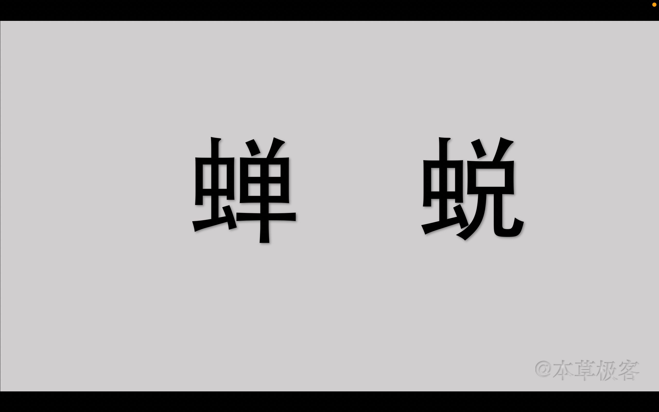 中药动物之皮1-蝉蜕