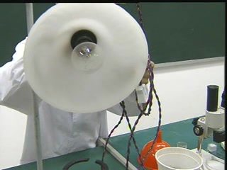 必修三P75:土壤中小动物类群丰富度的研究