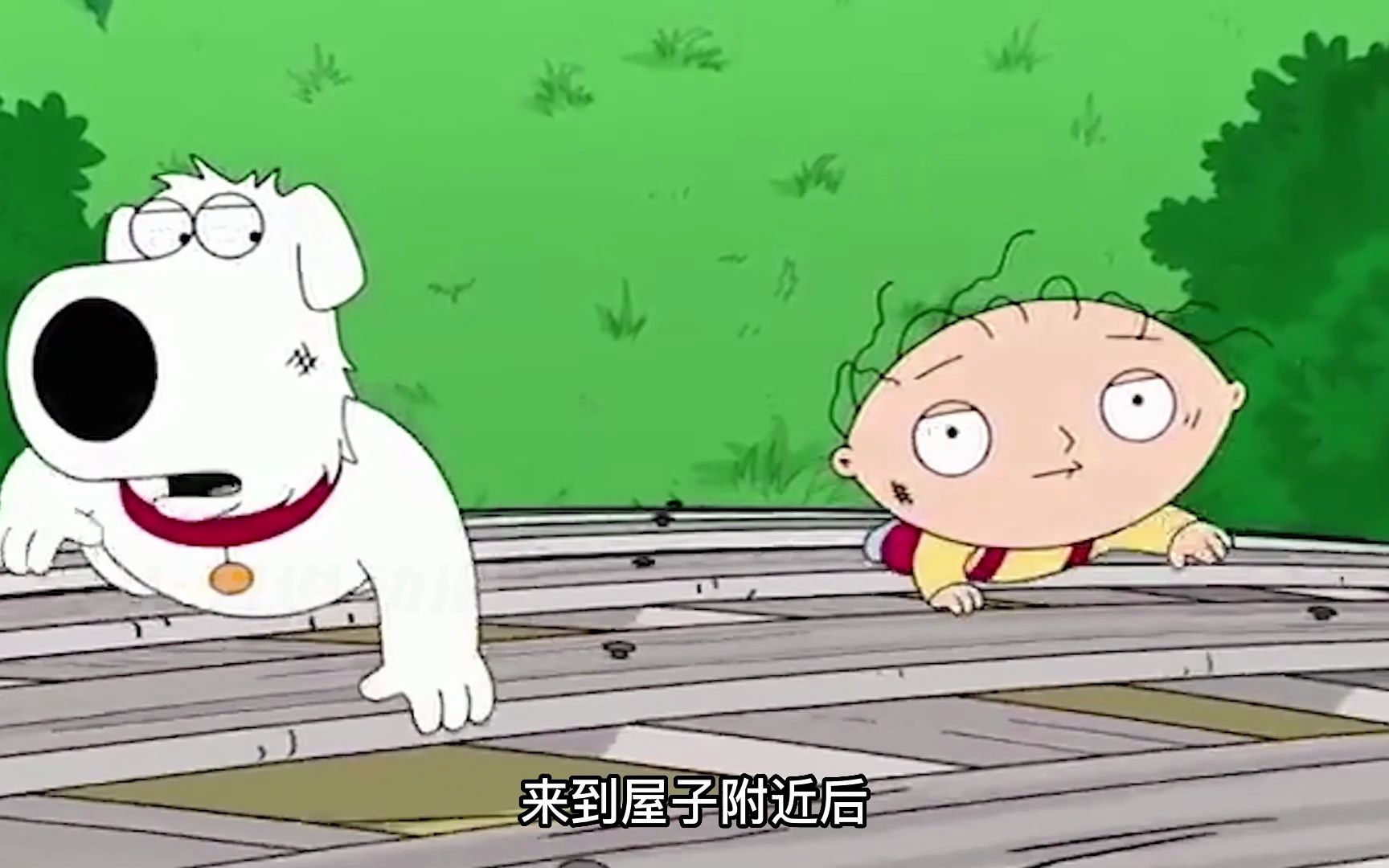 恶搞之家:饺子和小白意外被缩小,被人当做垃圾丢掉