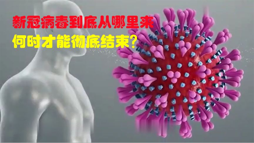 新冠病毒到底从哪里来,已经给人类造成多大损失,何时才能结束?